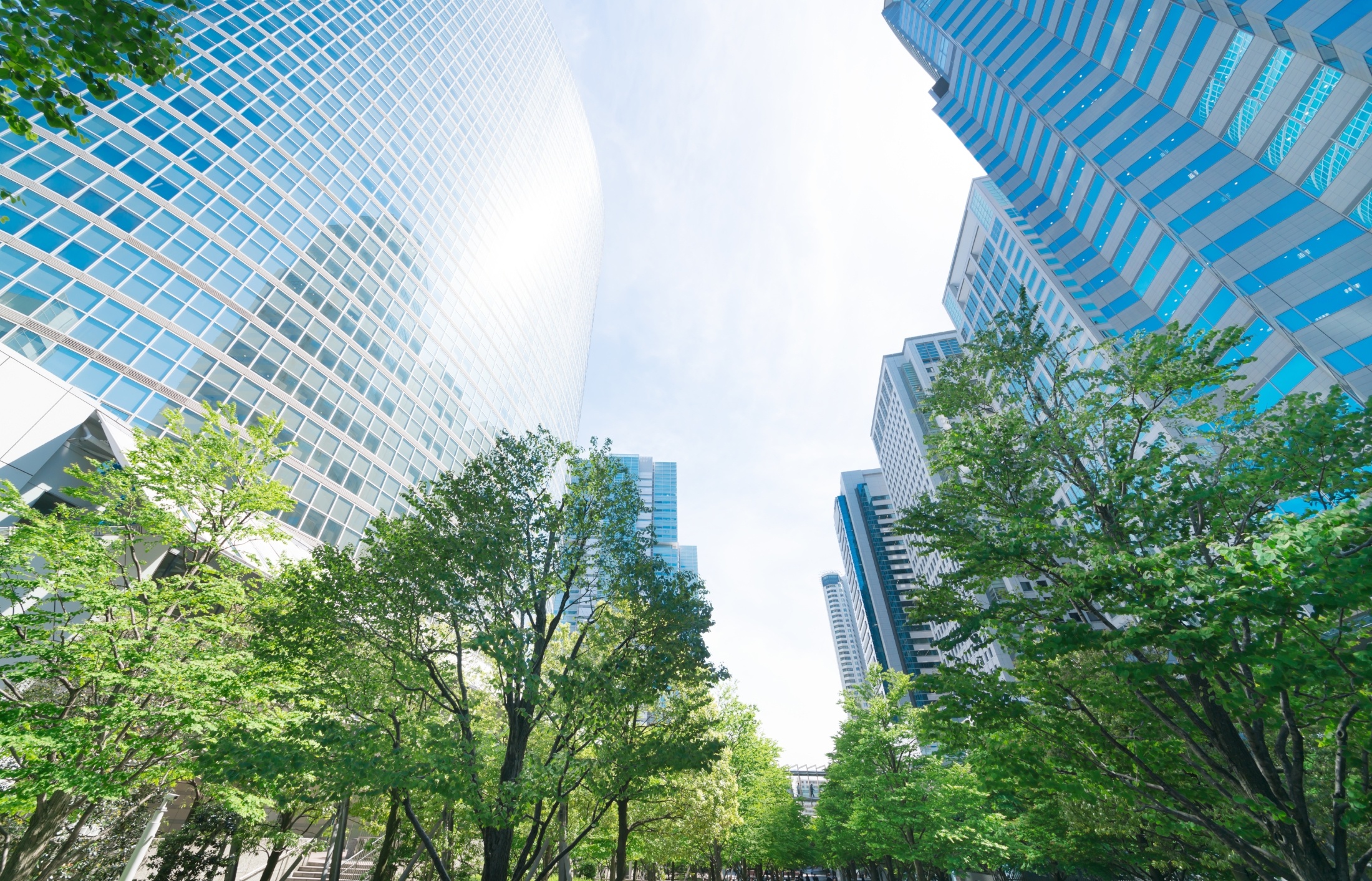 5 Reasons Why Your Company Should Be In a Green Building